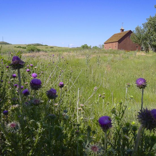 Events | Schweiger Ranch